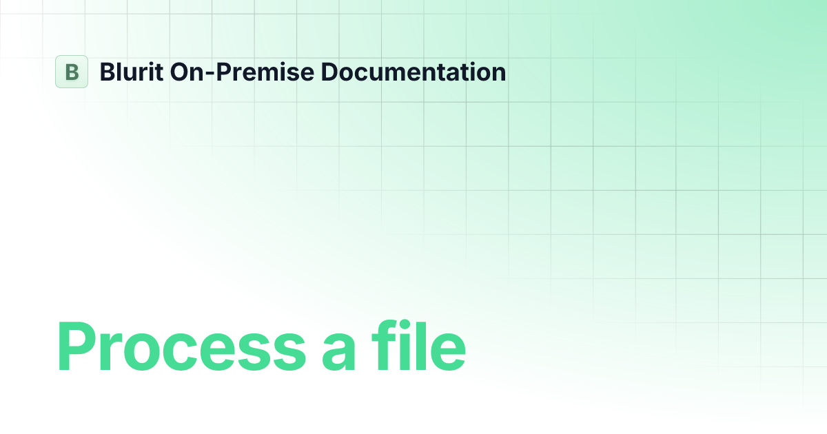 Process a file | Blurit On-Premise Documentation